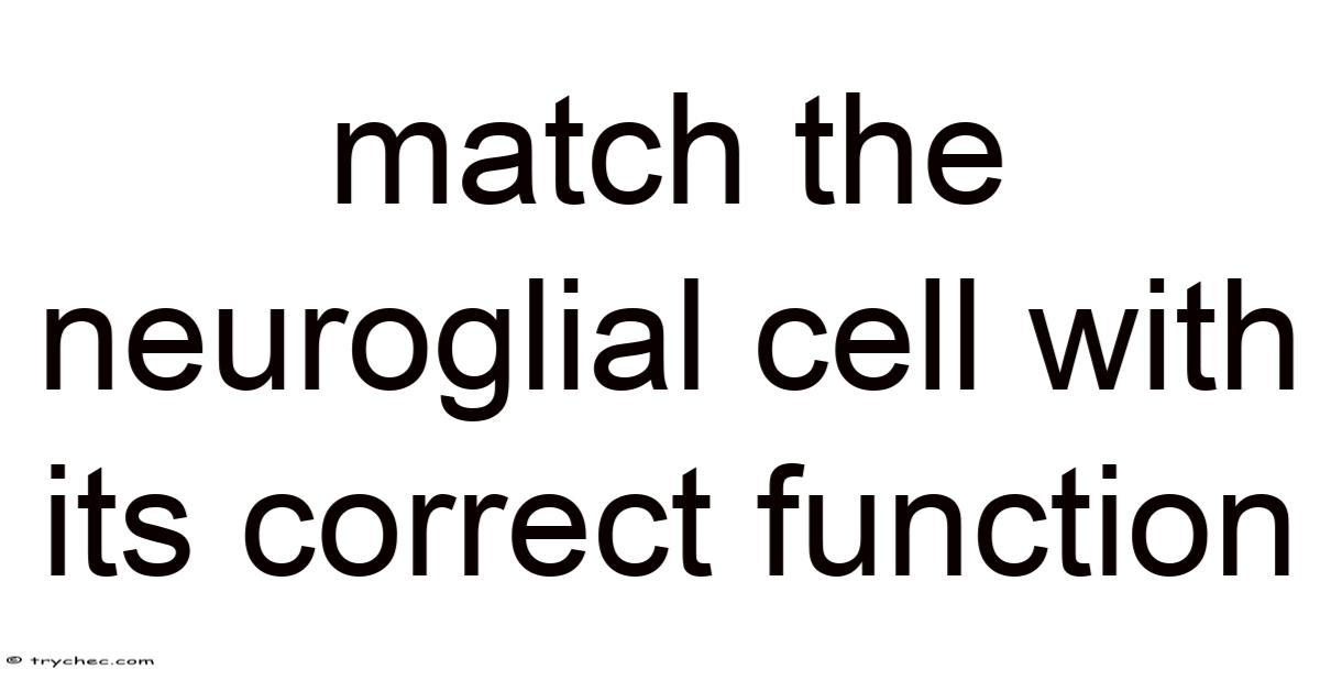 Match The Neuroglial Cell With Its Correct Function