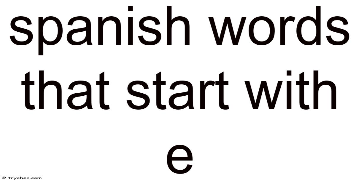 Spanish Words That Start With E
