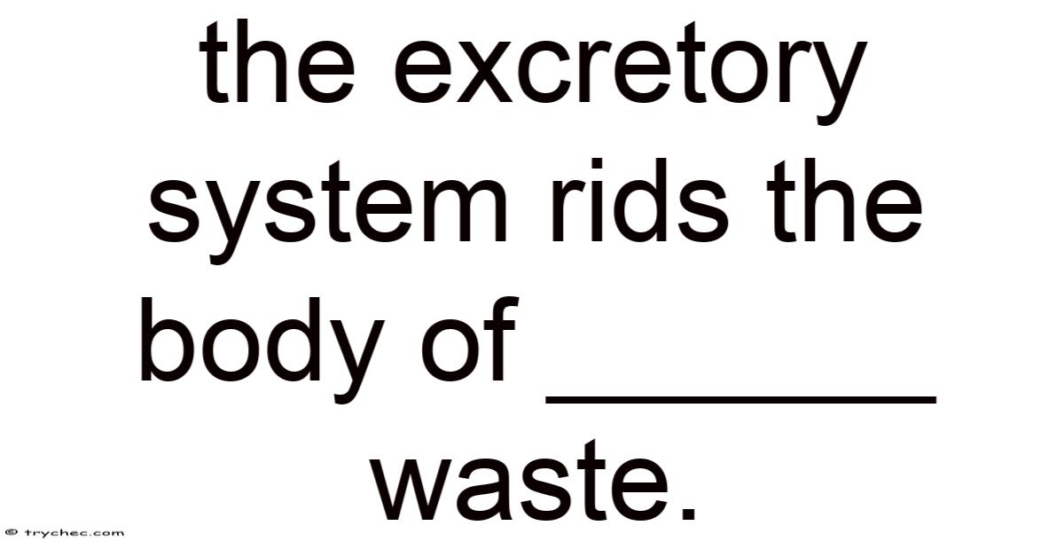 The Excretory System Rids The Body Of ______ Waste.