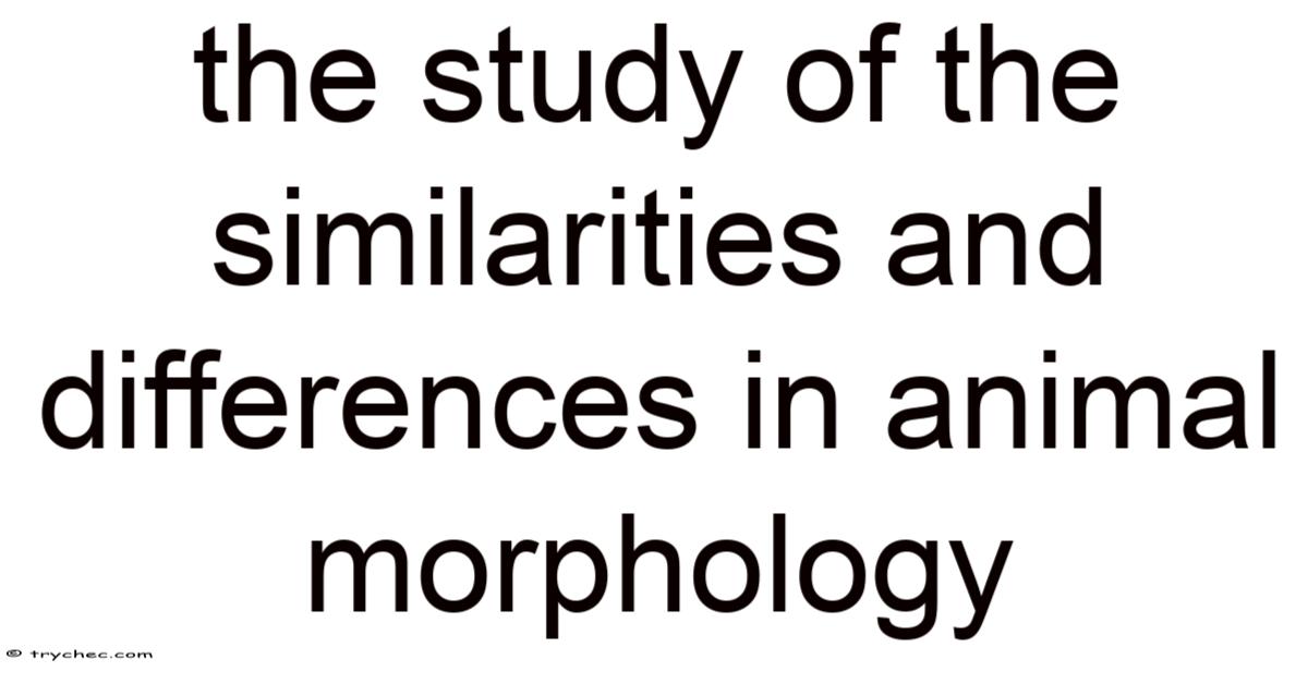 The Study Of The Similarities And Differences In Animal Morphology