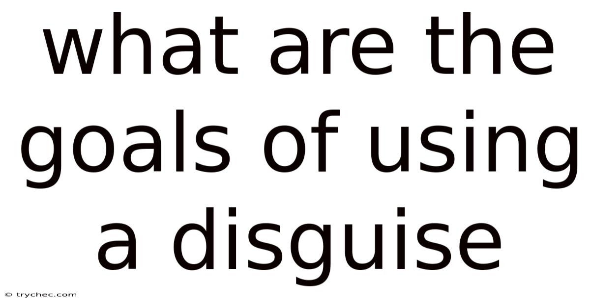 What Are The Goals Of Using A Disguise